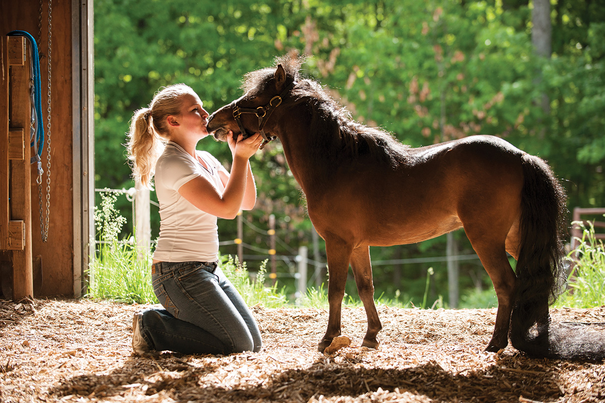 Miniature Horse Archives - Black Hills Ranch